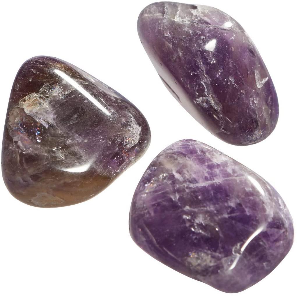 Science, Nature, Engineering Toys | Anglo Dutch Pools and Toys